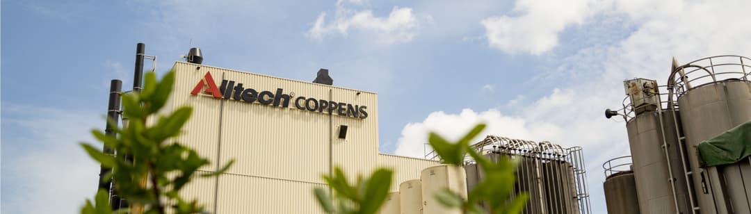 Alltech Coppens B.V. | Company