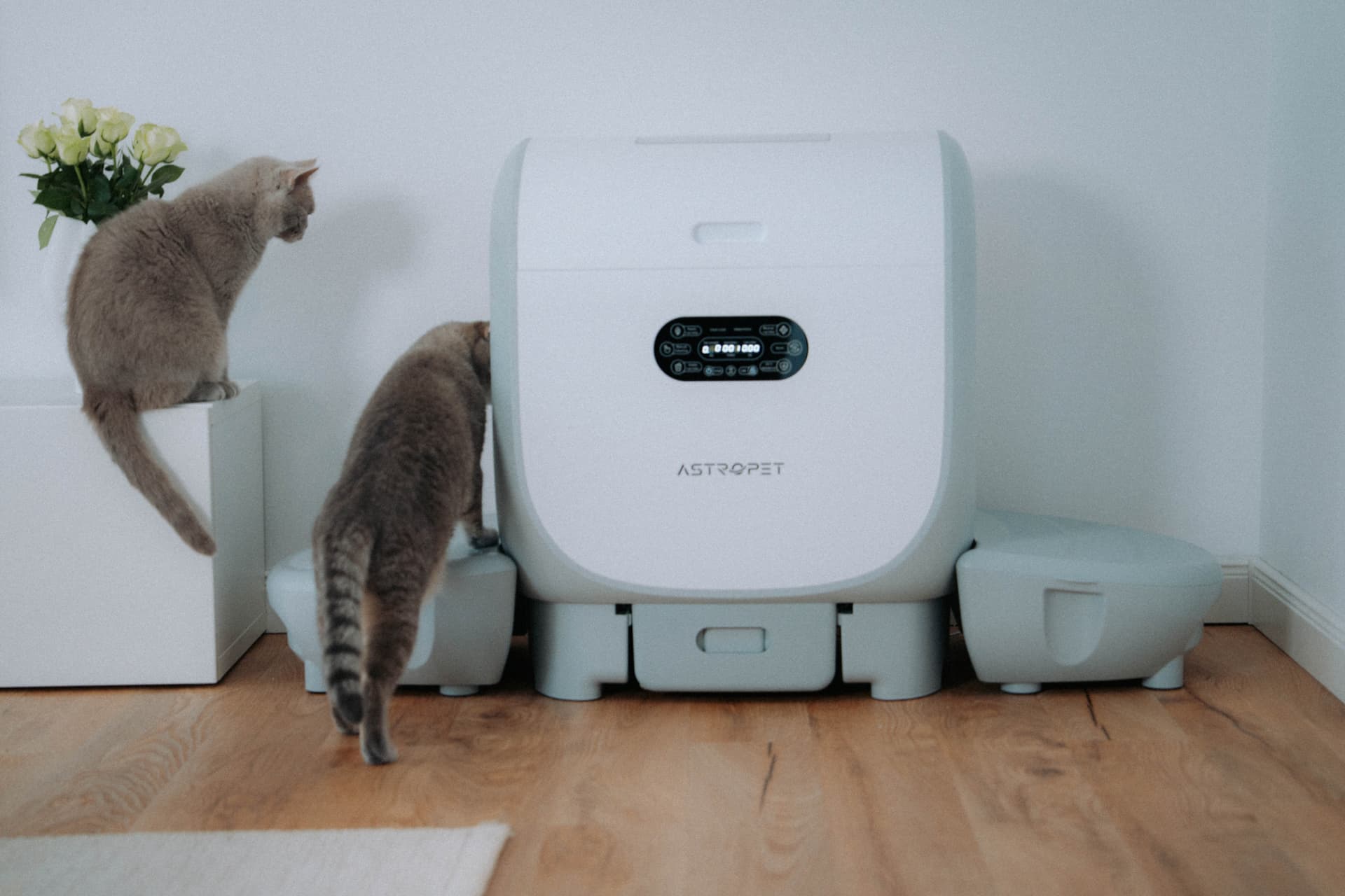 Jupiter Pro - XXL self-cleaning litter box | Product