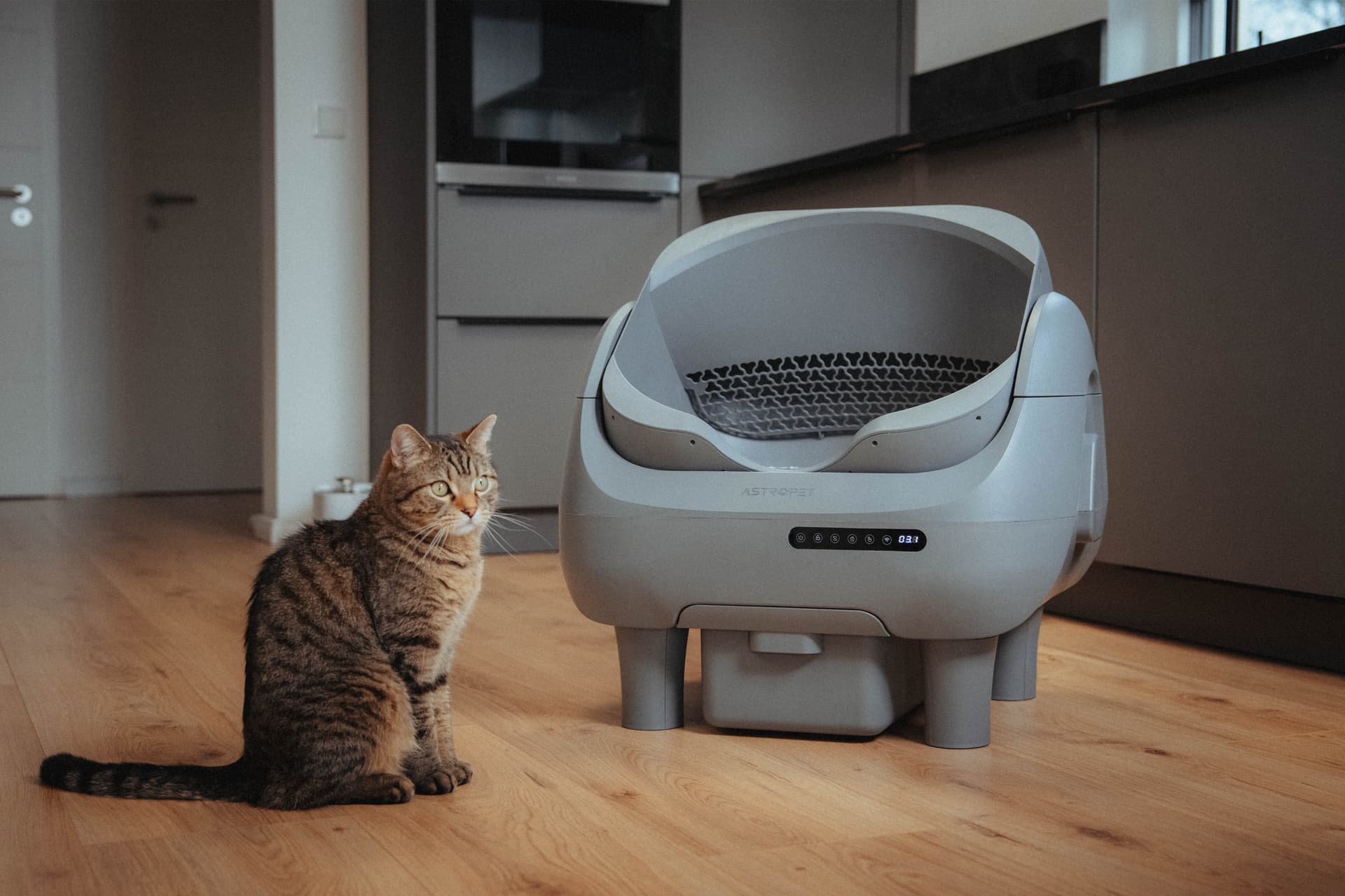 Venus - self-cleaning litter box | Product